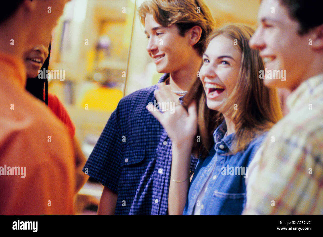 Two teenage girls and three teenage boys talking to each other Stock ...