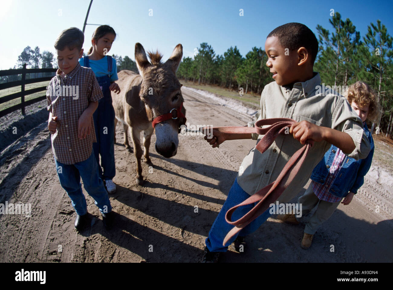 Two children with a donkey hi-res stock photography and images - Alamy