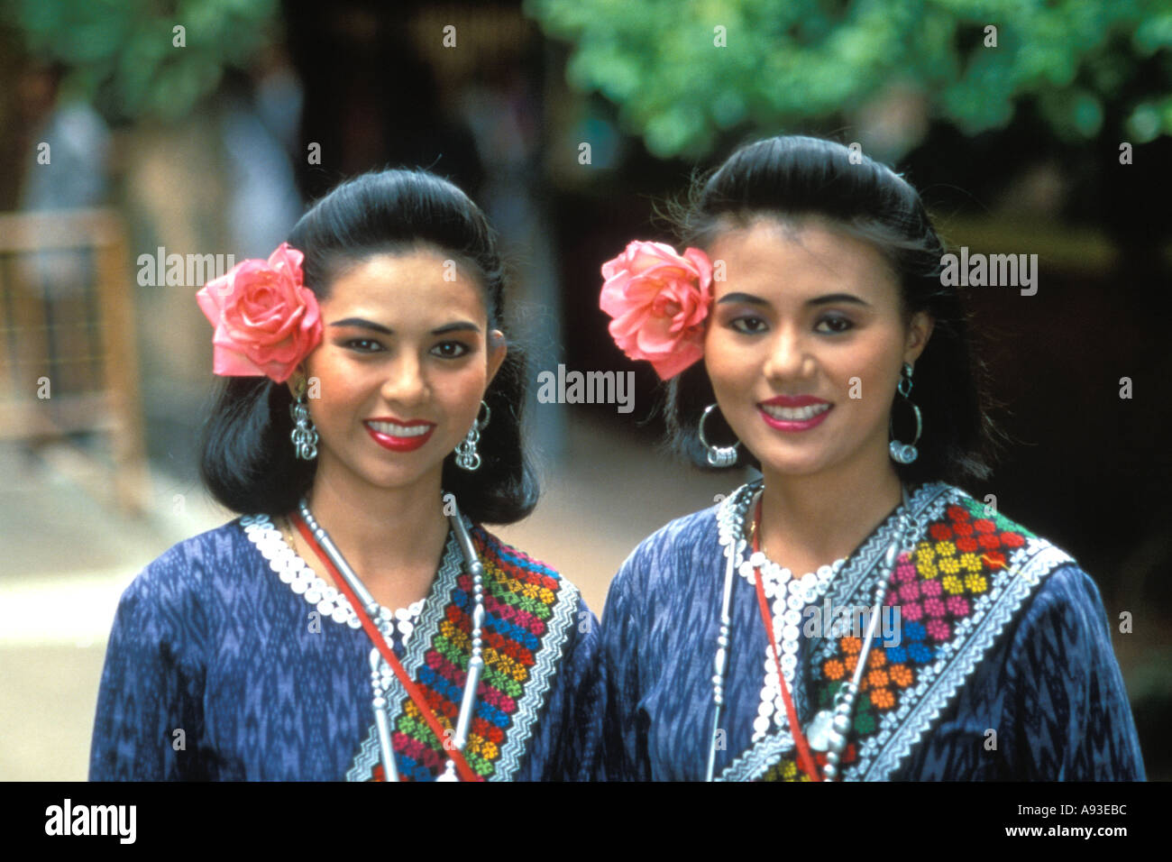 Traditional holiday companion hi-res stock photography and images - Alamy