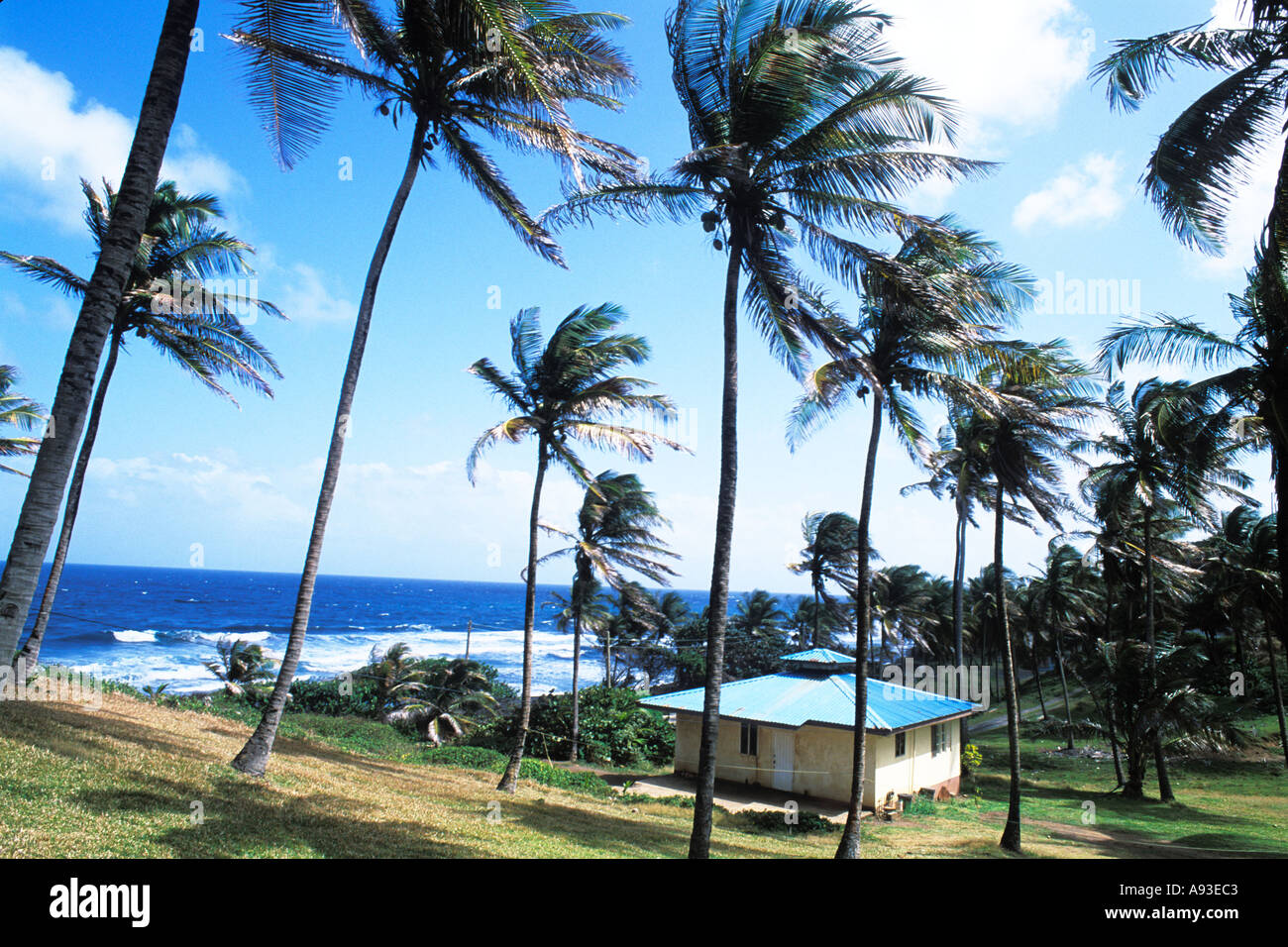 Grants bay hi-res stock photography and images - Alamy