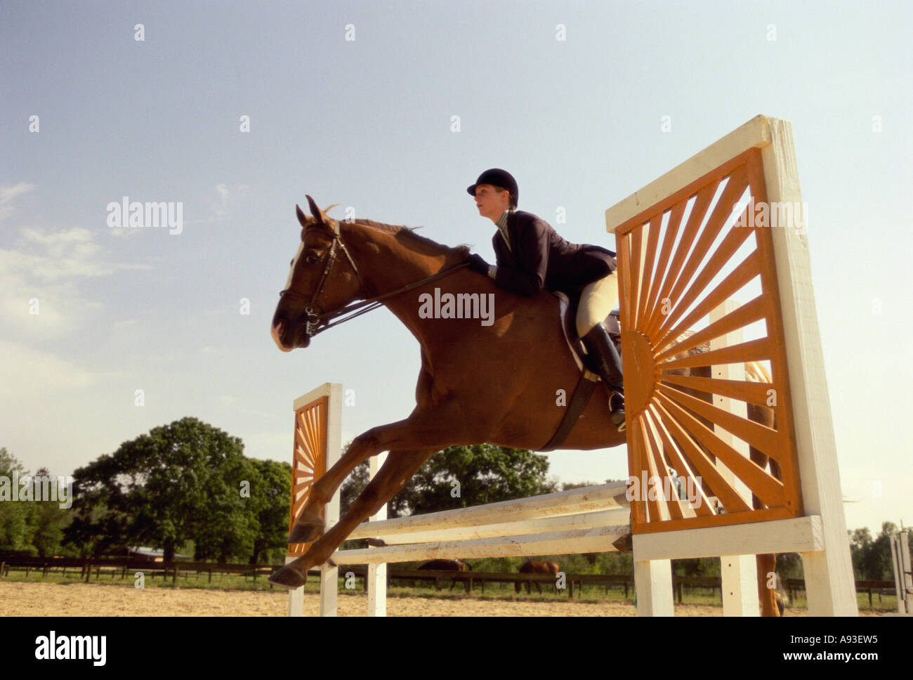 Side profile of a jockey on a horse jumping over a hurdle Stock Photo ...