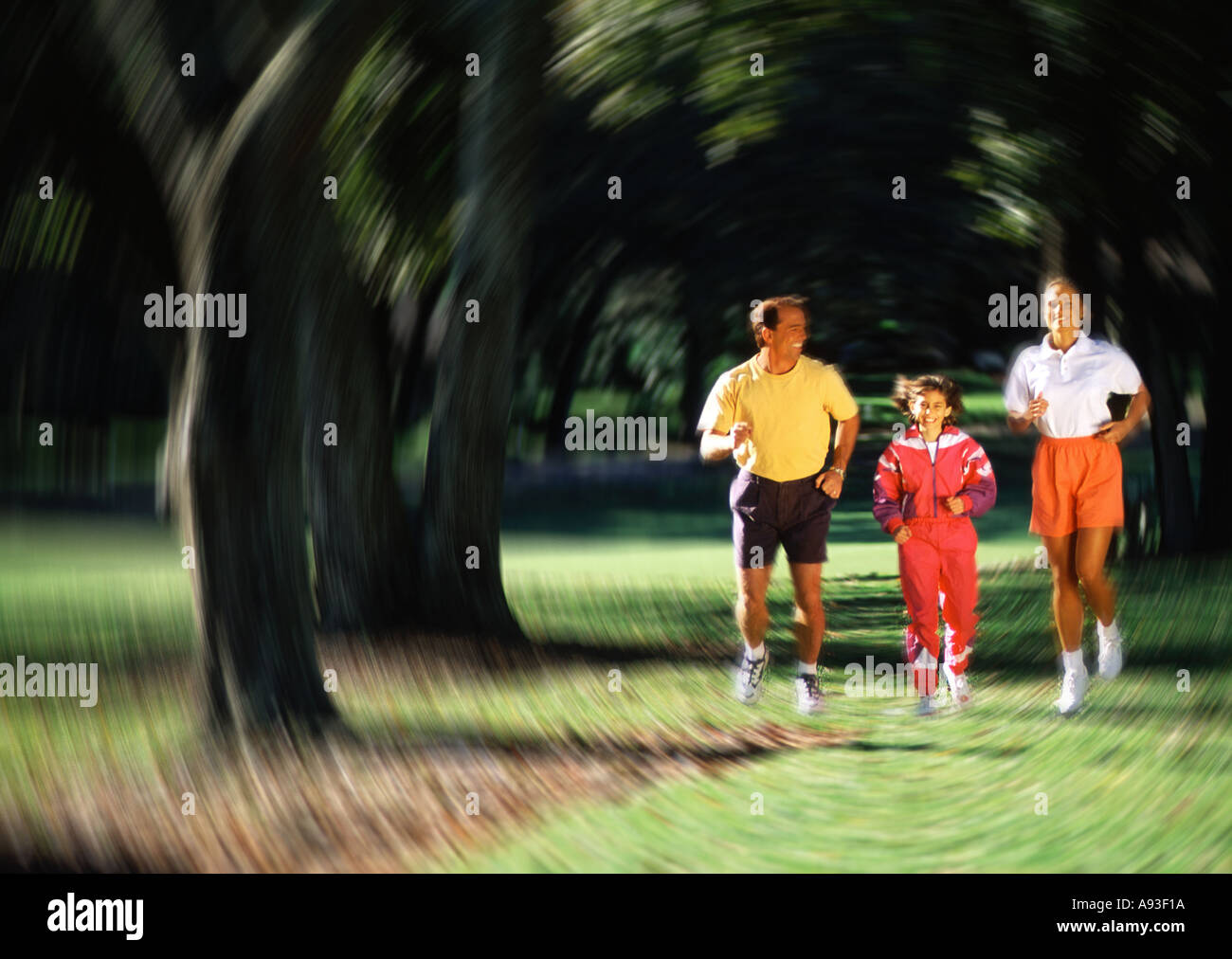 Attractive family jogging together through a wooded park Stock Photo ...