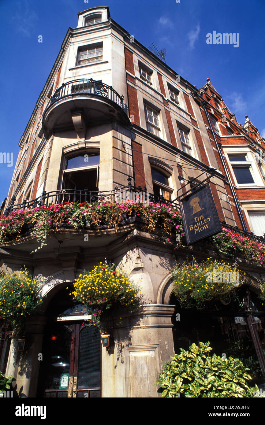 Flowers on corner architecture in London England Stock Photo - Alamy