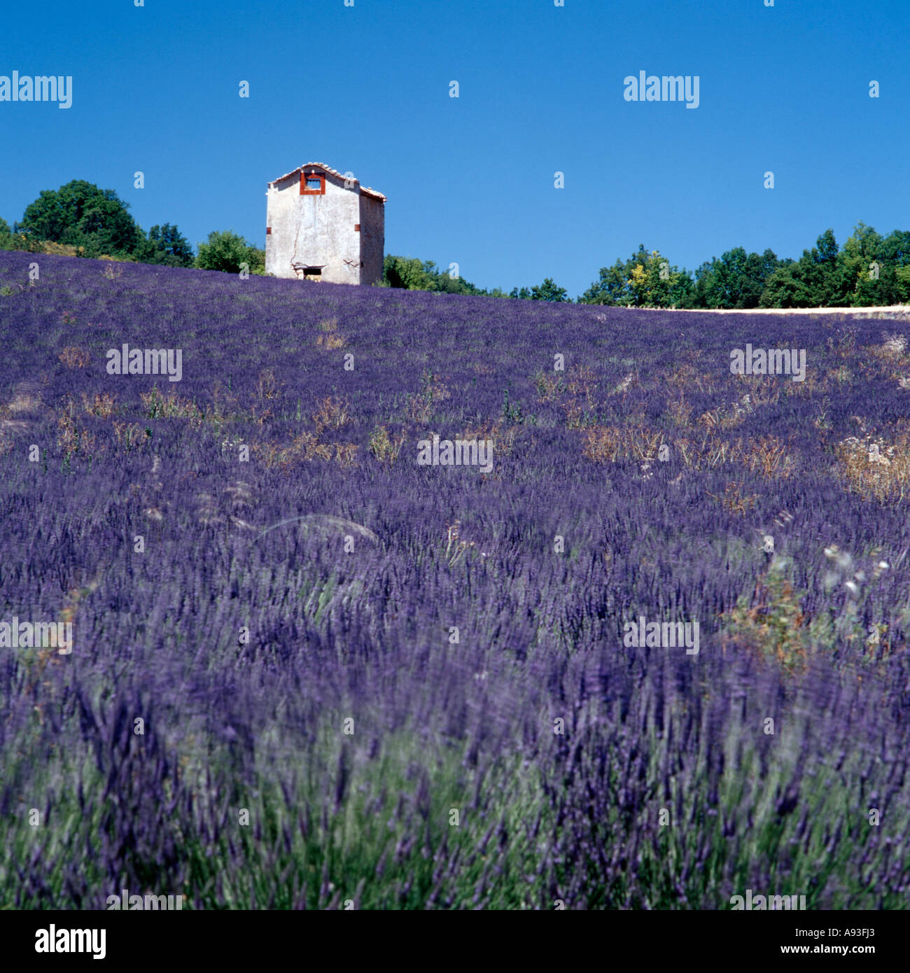 Riez alpes de haute provence hi-res stock photography and images - Alamy