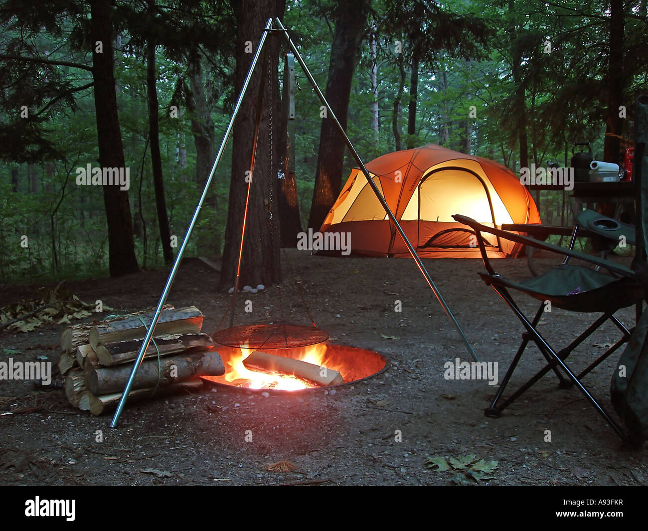 No vaca hi-res stock photography and images - Alamy