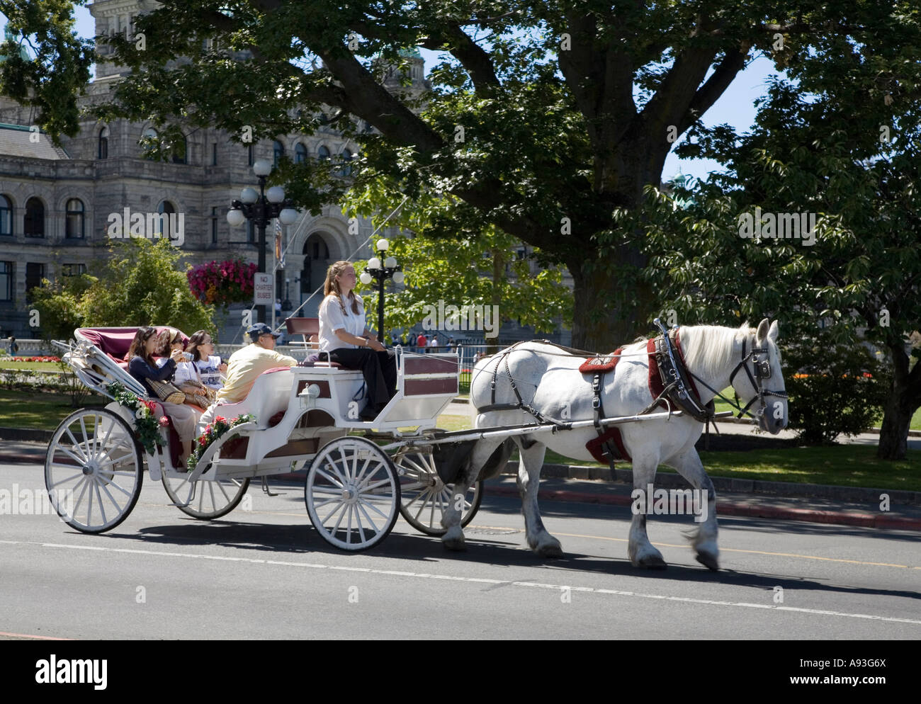 Horse drawn tourist carriage at parliament buildings Victoria Canada ...