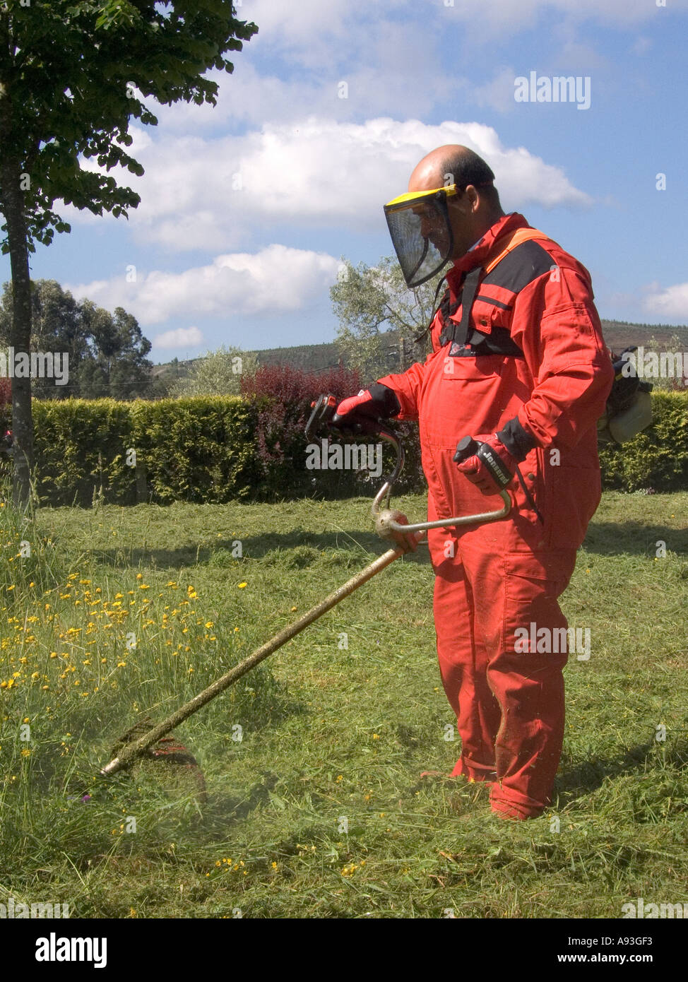 Brush Cutter operator trimming Grass Stock Photo - Alamy