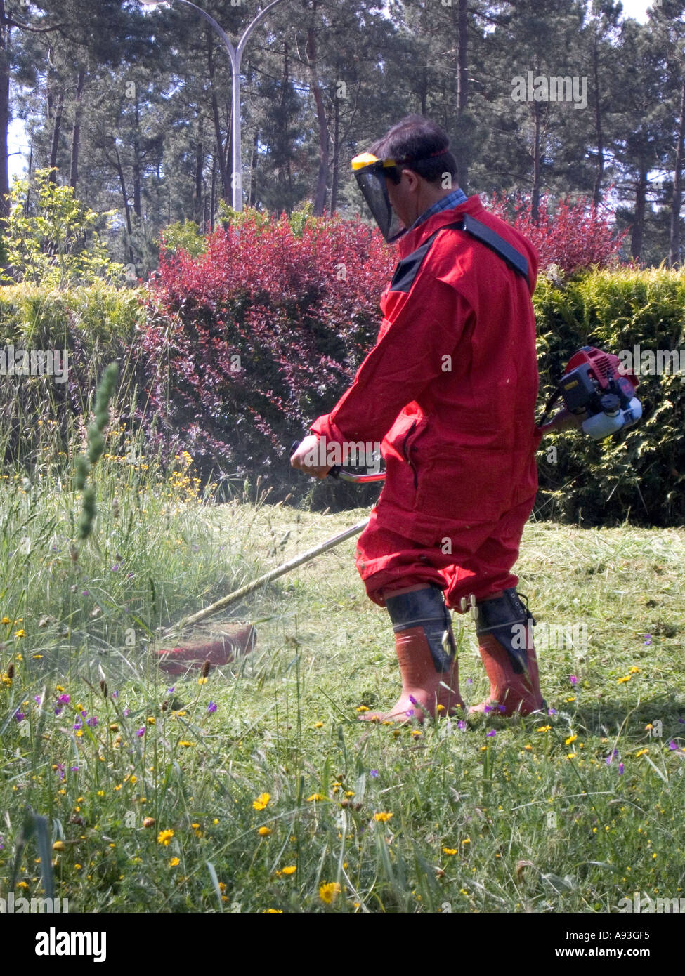 Brush Cutter operator trimming Grass Stock Photo - Alamy