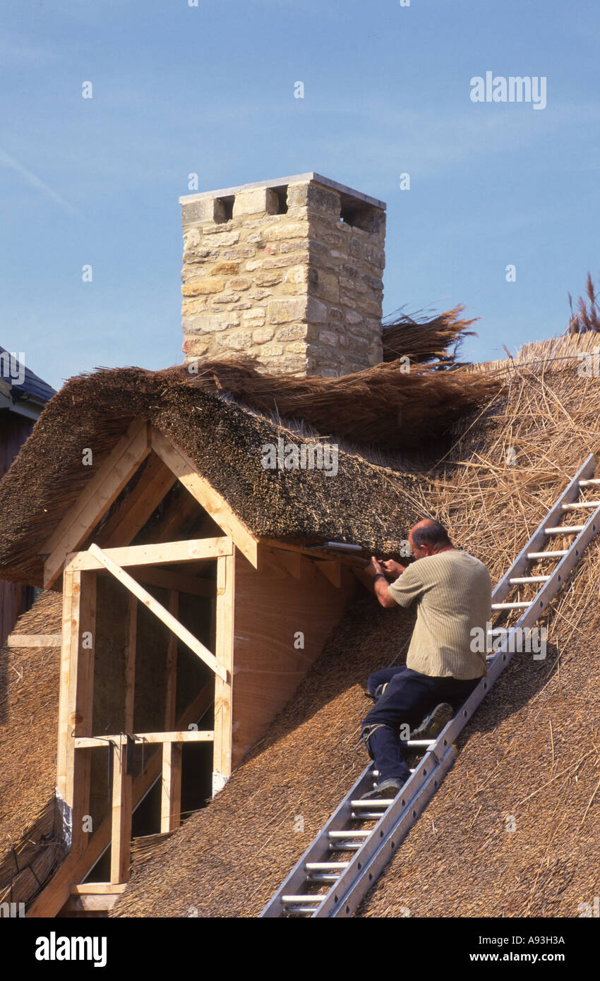 Thatcher at work hi-res stock photography and images - Alamy