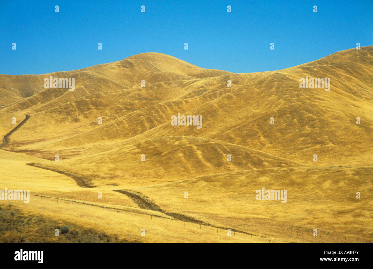 Road across yellow hills hi-res stock photography and images - Alamy