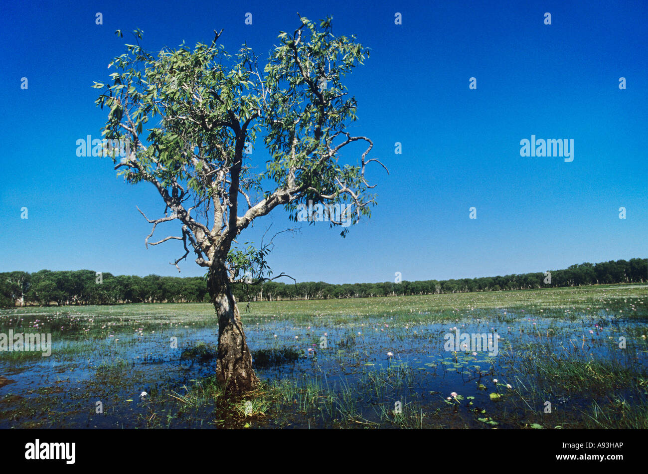 Kakapu national park hi-res stock photography and images - Alamy