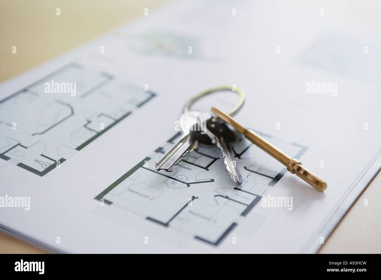 Key ring with three keys lying on architectural blueprint, close-up ...