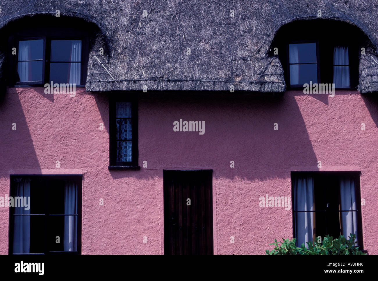 UNITED KINGDOM: pink, thatched Country Cottage Stock Photo - Alamy