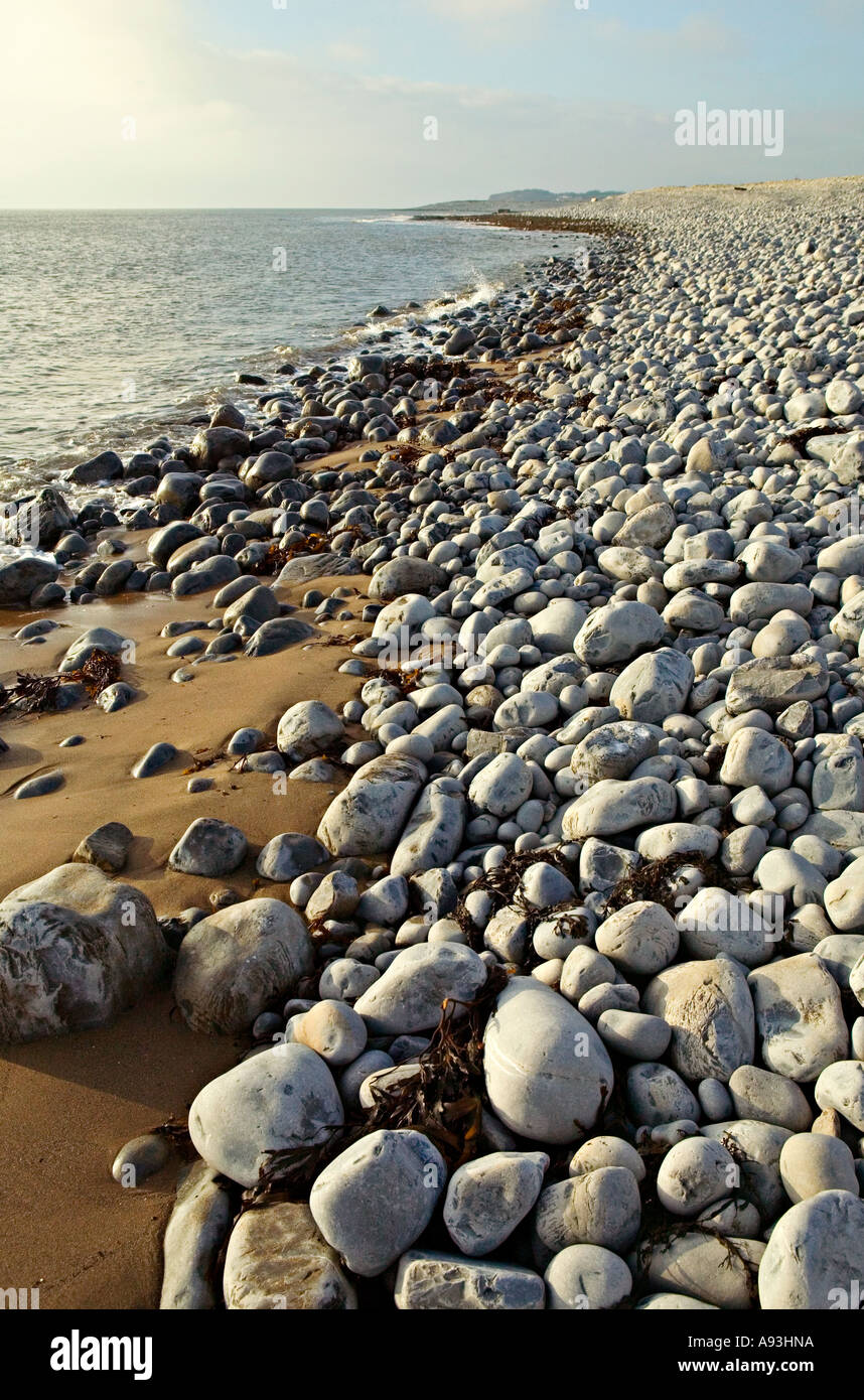 Limpert bay hi-res stock photography and images - Alamy