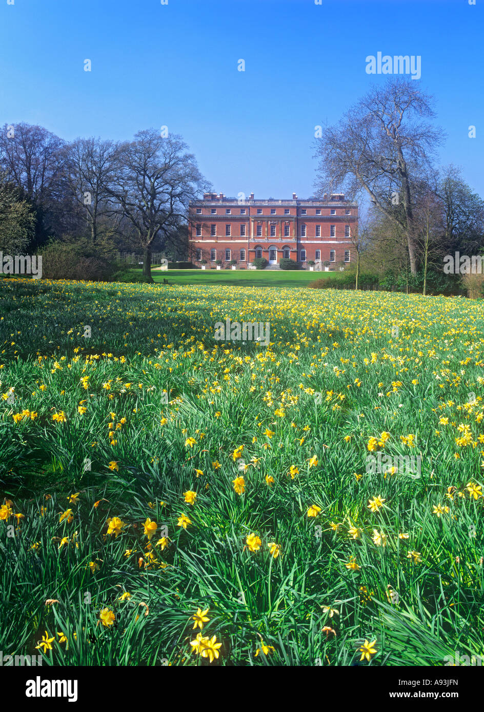 Spring sun and daffodils hi-res stock photography and images - Alamy