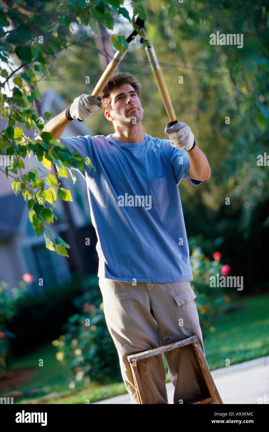 Mid adult man trimming a tree Stock Photo - Alamy