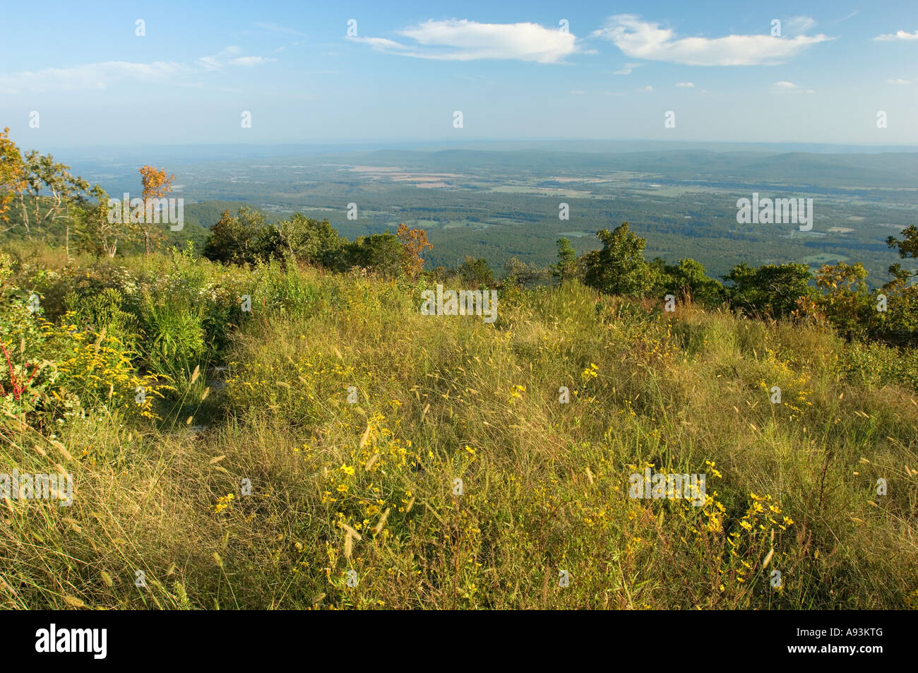 Scenic of the Ozark National Forest in Arkansas Stock Photo - Alamy