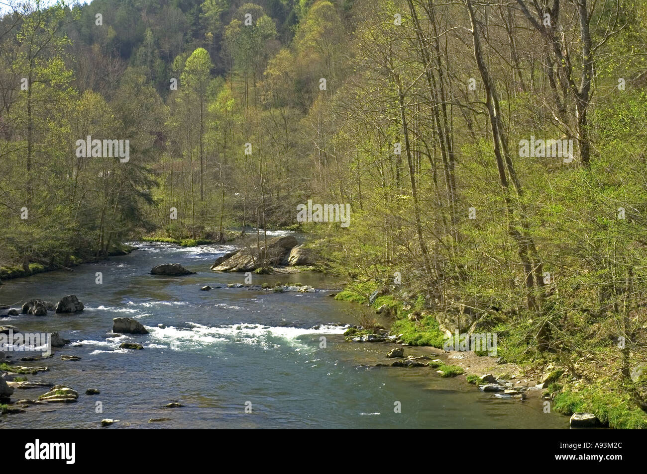 Little Pigeon River Spring East Tennessee Stock Photo - Alamy