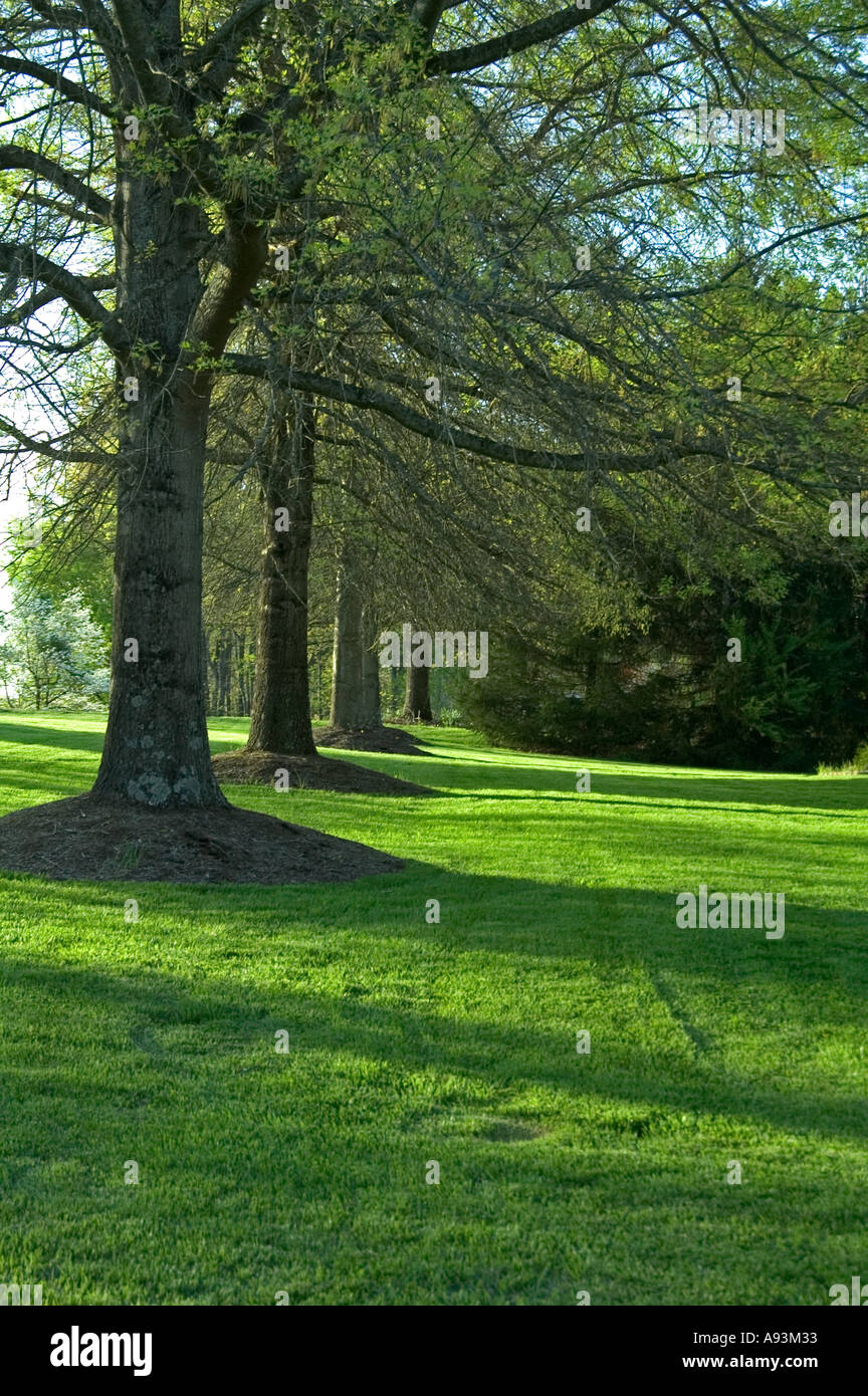 Spring Images Trees Mowed Grass East Tennessee Stock Photo - Alamy