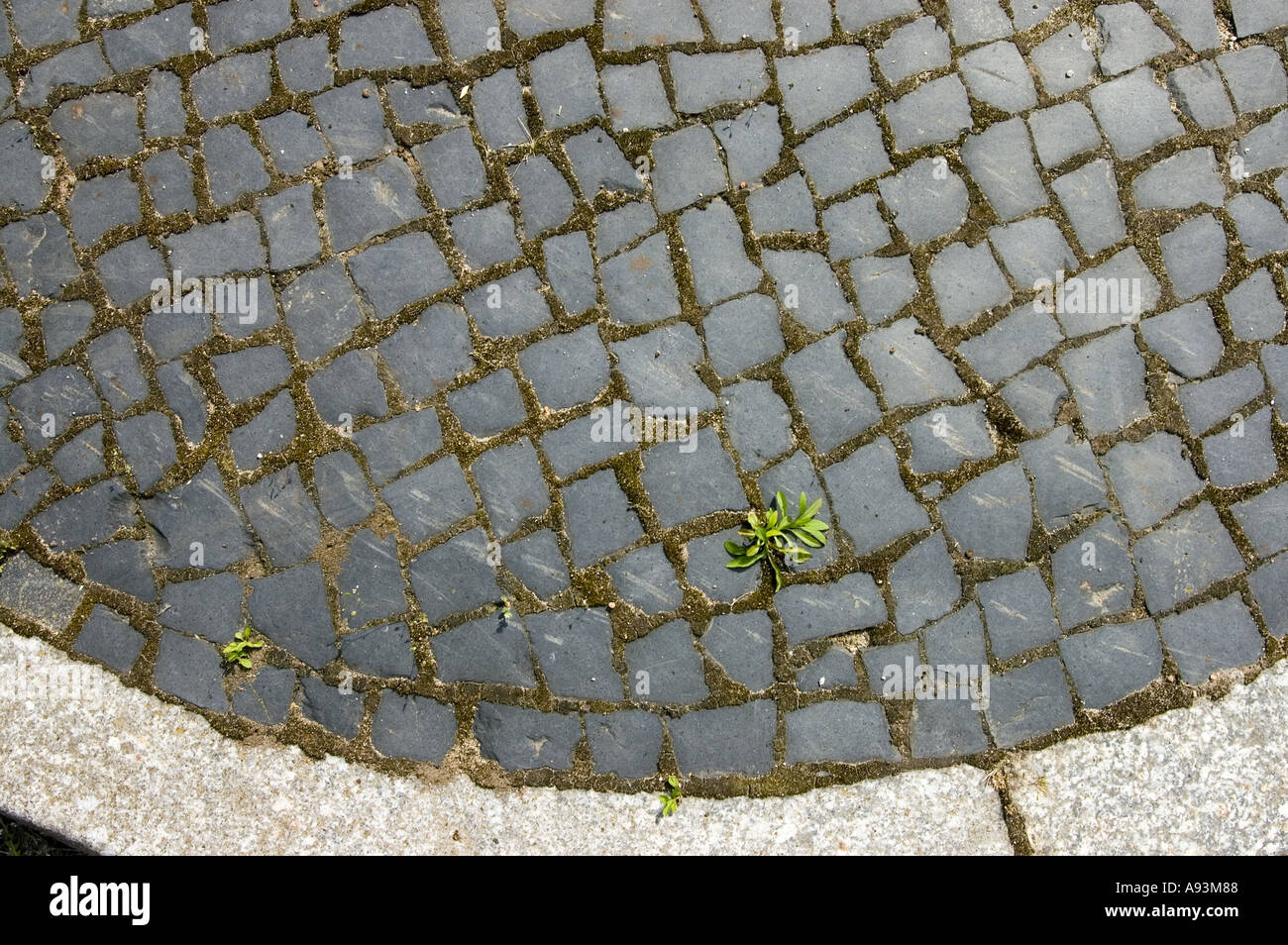 Kuestrin hi-res stock photography and images - Alamy