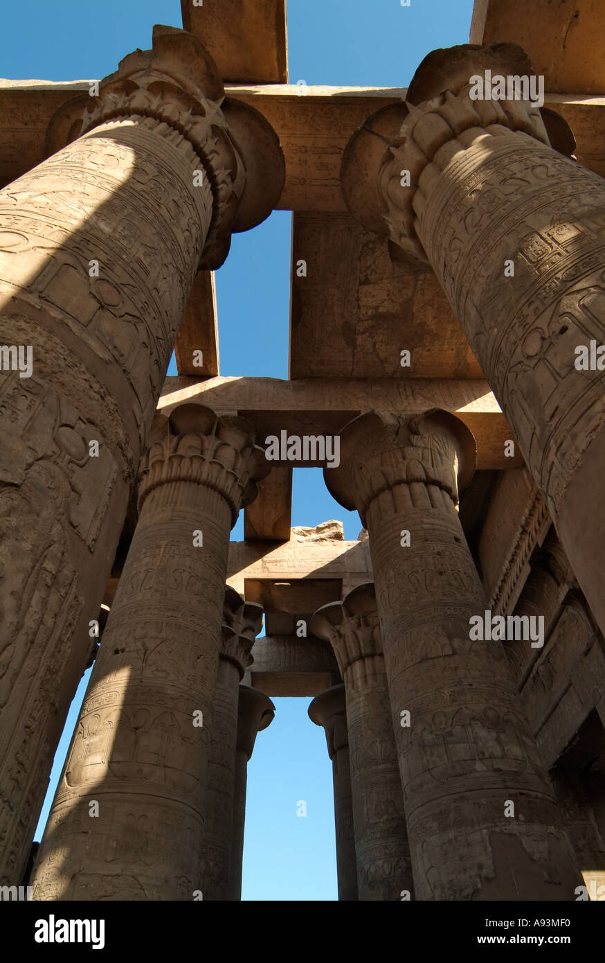 Lotus flower headed columns of the Hypostyle hall, Kom Ombo Temple ...
