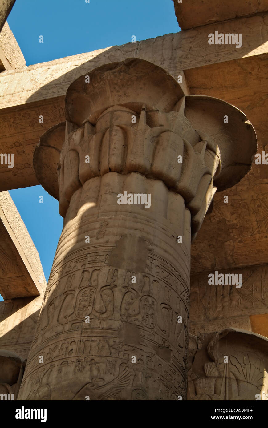 Egypt Lotus Stock Photos & Egypt Lotus Stock Images - Alamy