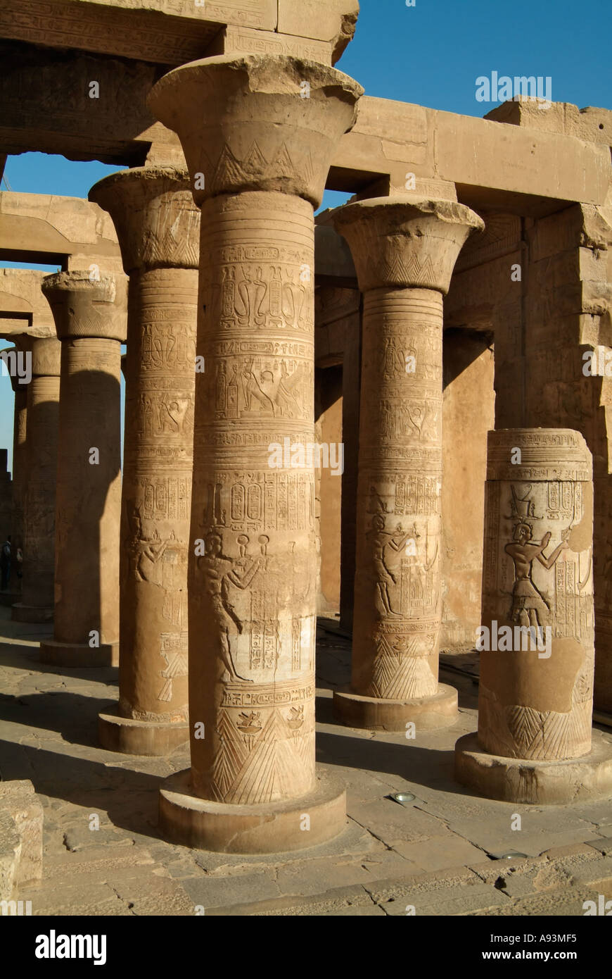 Egypt Lotus Stock Photos & Egypt Lotus Stock Images - Alamy