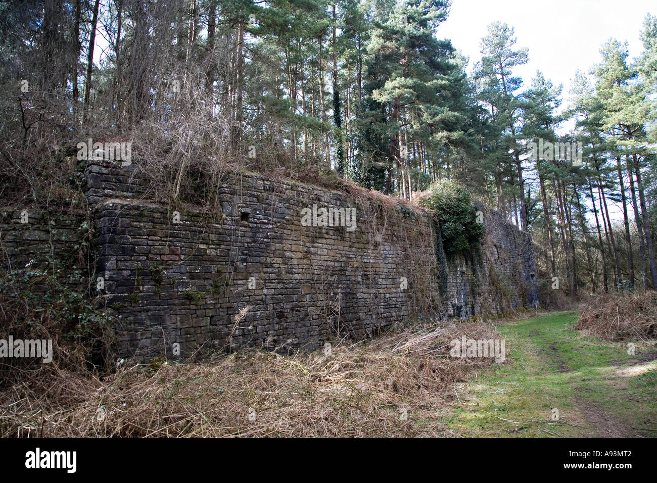 Forest of dean mining hi-res stock photography and images - Alamy