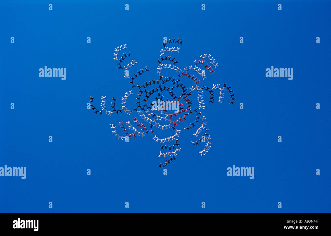 Skydiving formation hi-res stock photography and images - Alamy