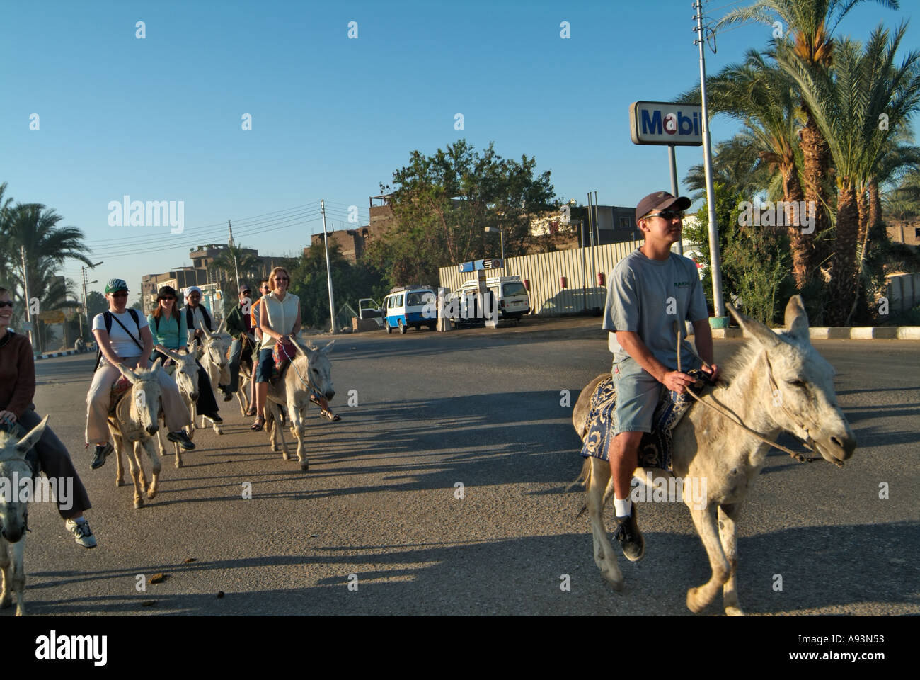 Egyptian riding donkey hi-res stock photography and images - Alamy