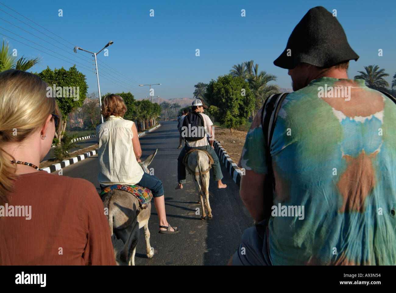 Group on a donkey ride to the Valley of the Kings, West Bank, Luxor ...