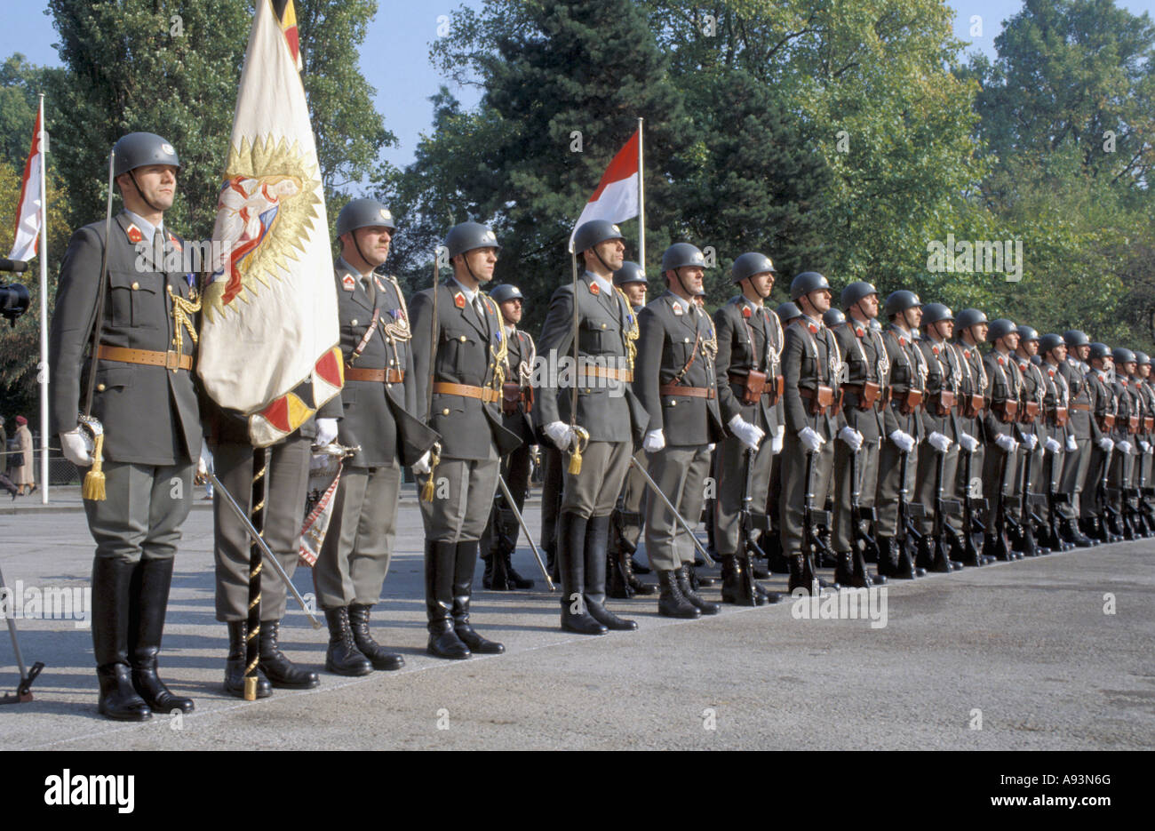 Federal army with the swearing in Stock Photo - Alamy