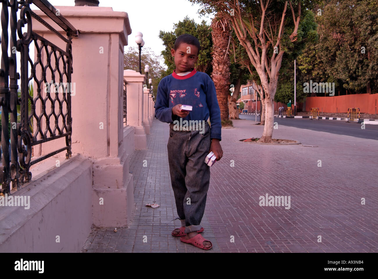 Egyptian tissue hi-res stock photography and images - Alamy