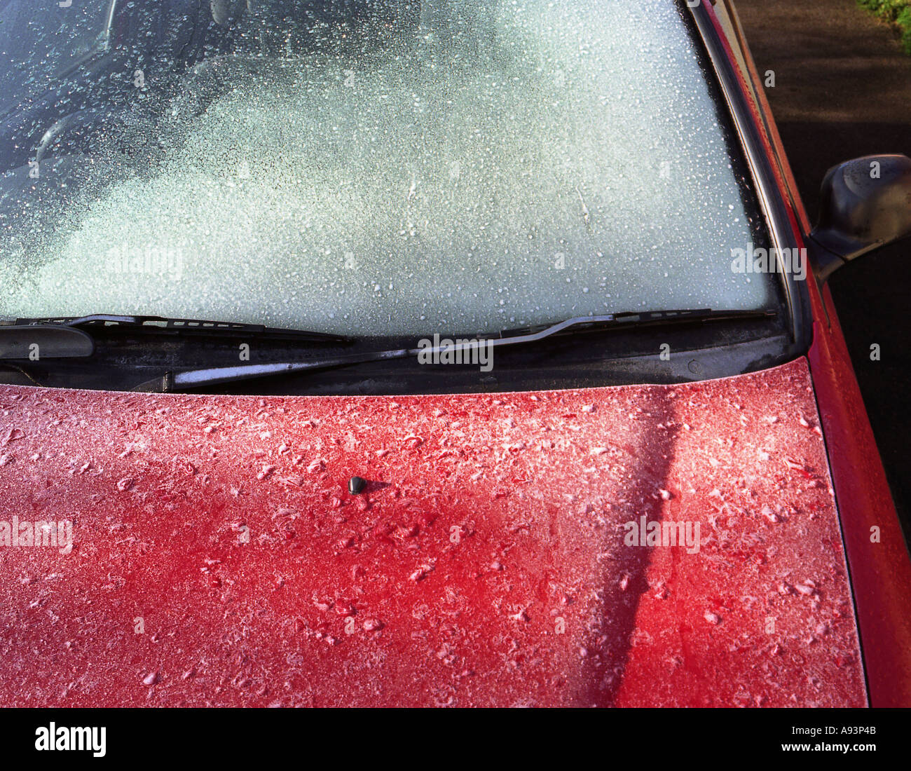 Opaque windscreen hi-res stock photography and images - Alamy