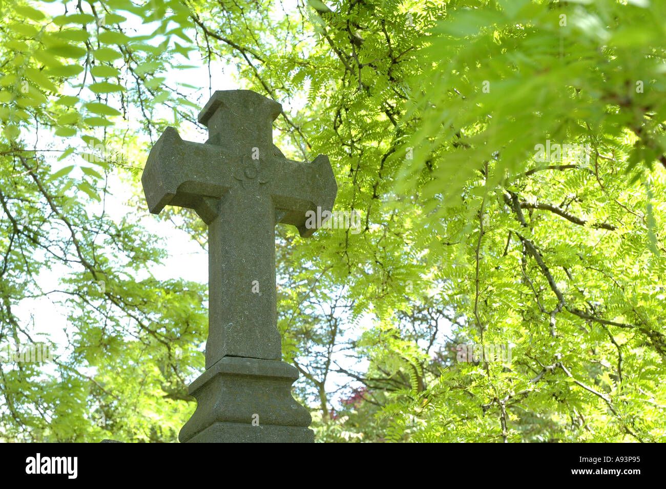 Hardstone hi-res stock photography and images - Alamy