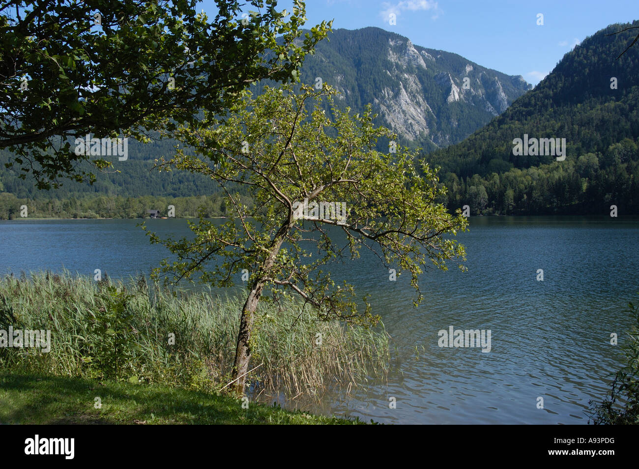 Lunzer see osterreich hi-res stock photography and images - Alamy