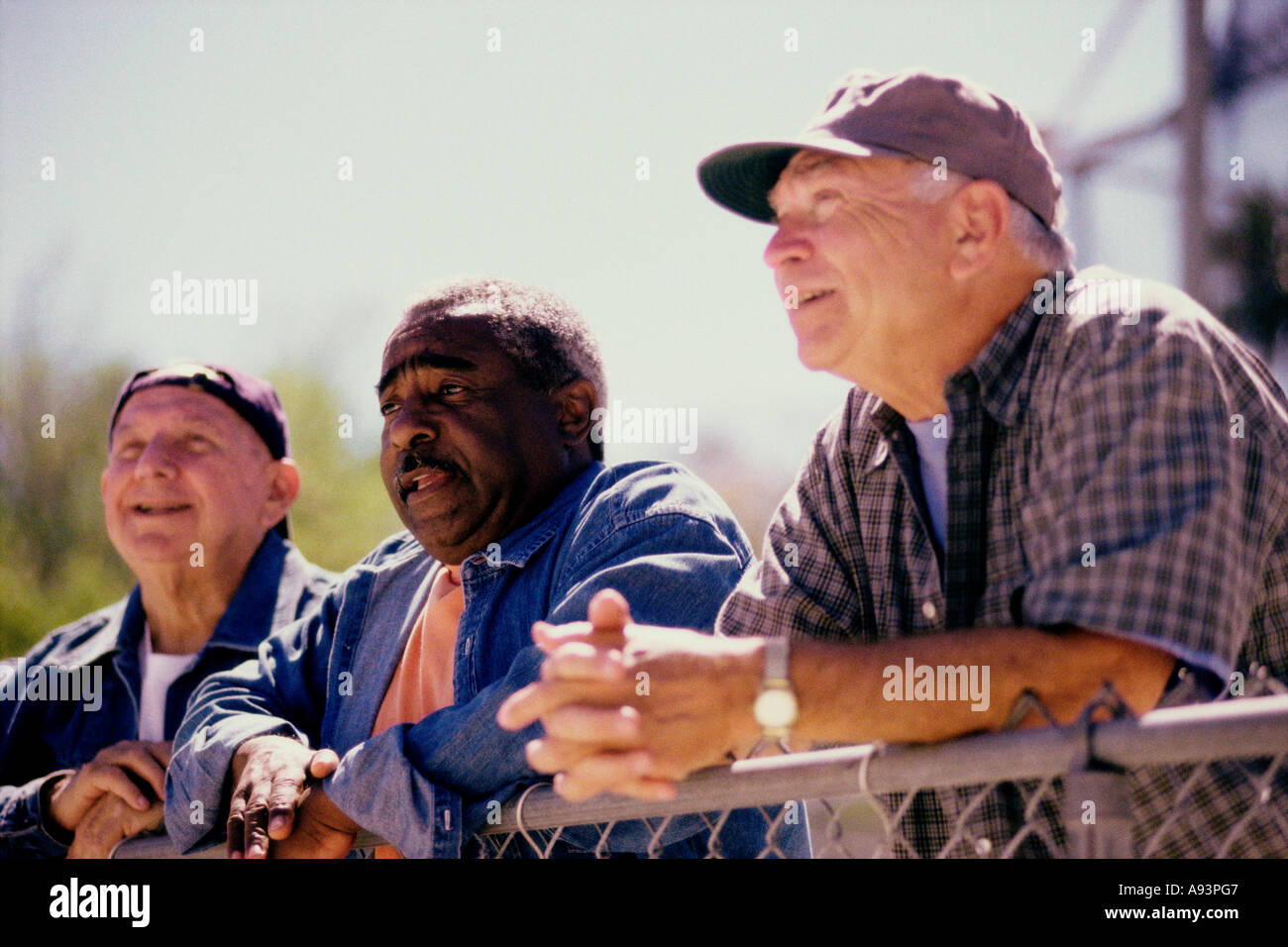 Three senior men standing against a chain-link fence Stock Photo - Alamy
