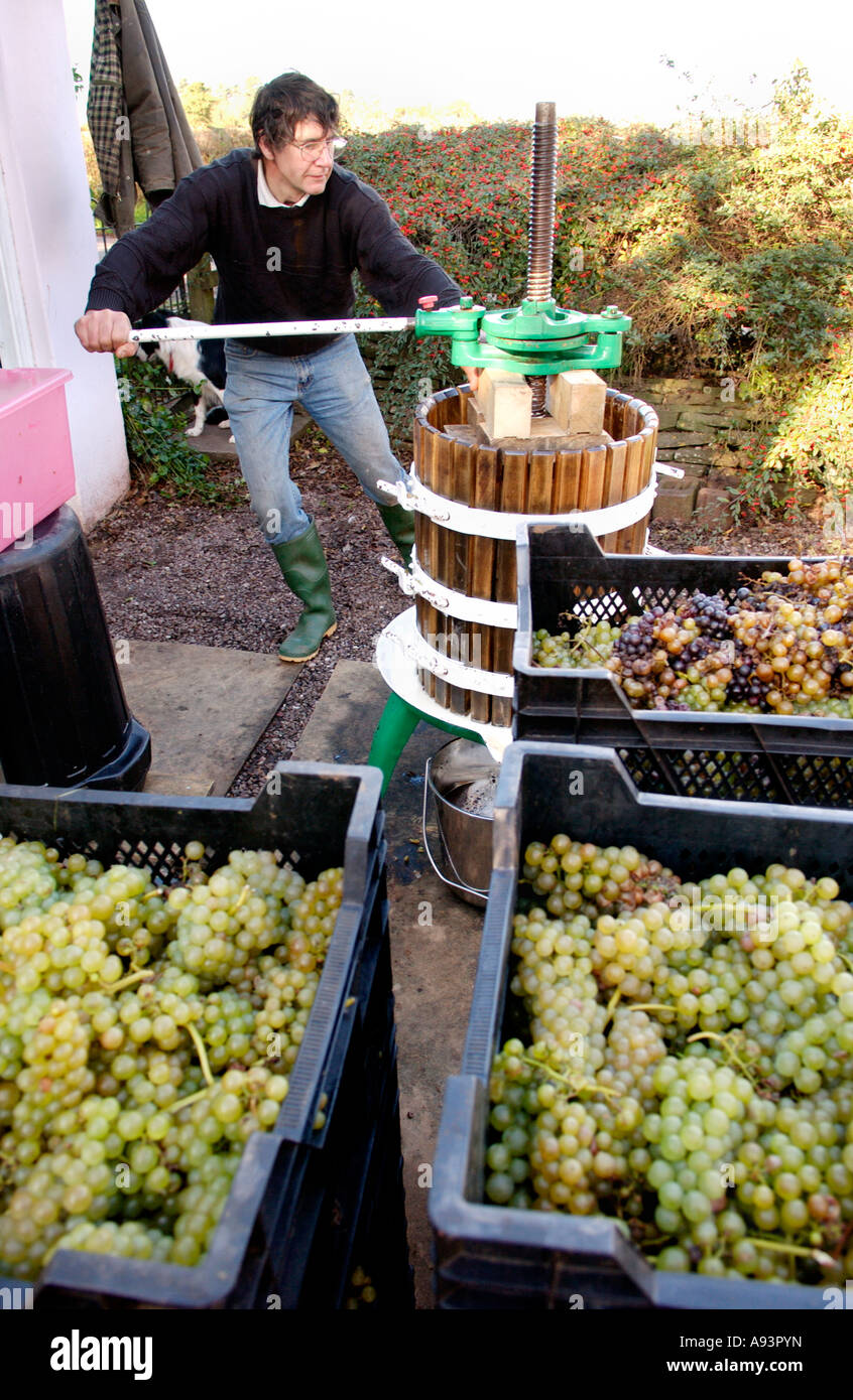 Small scale vineyards hi-res stock photography and images - Alamy