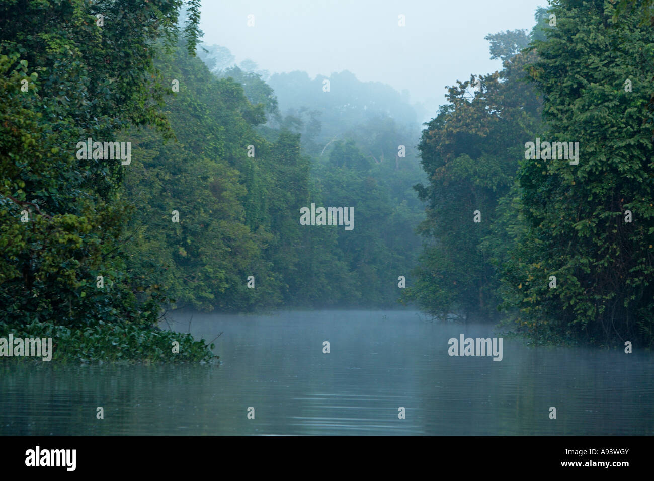 Kinabatangan River Sabah Borneo Malaysia Stock Photo - Alamy