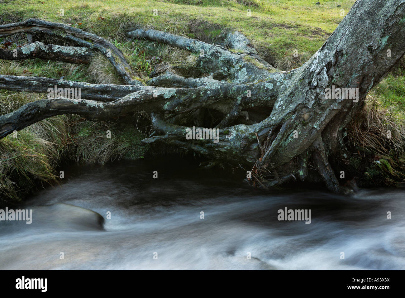 Small stream Lawrence Field Padley Derbyshire Peak District National ...