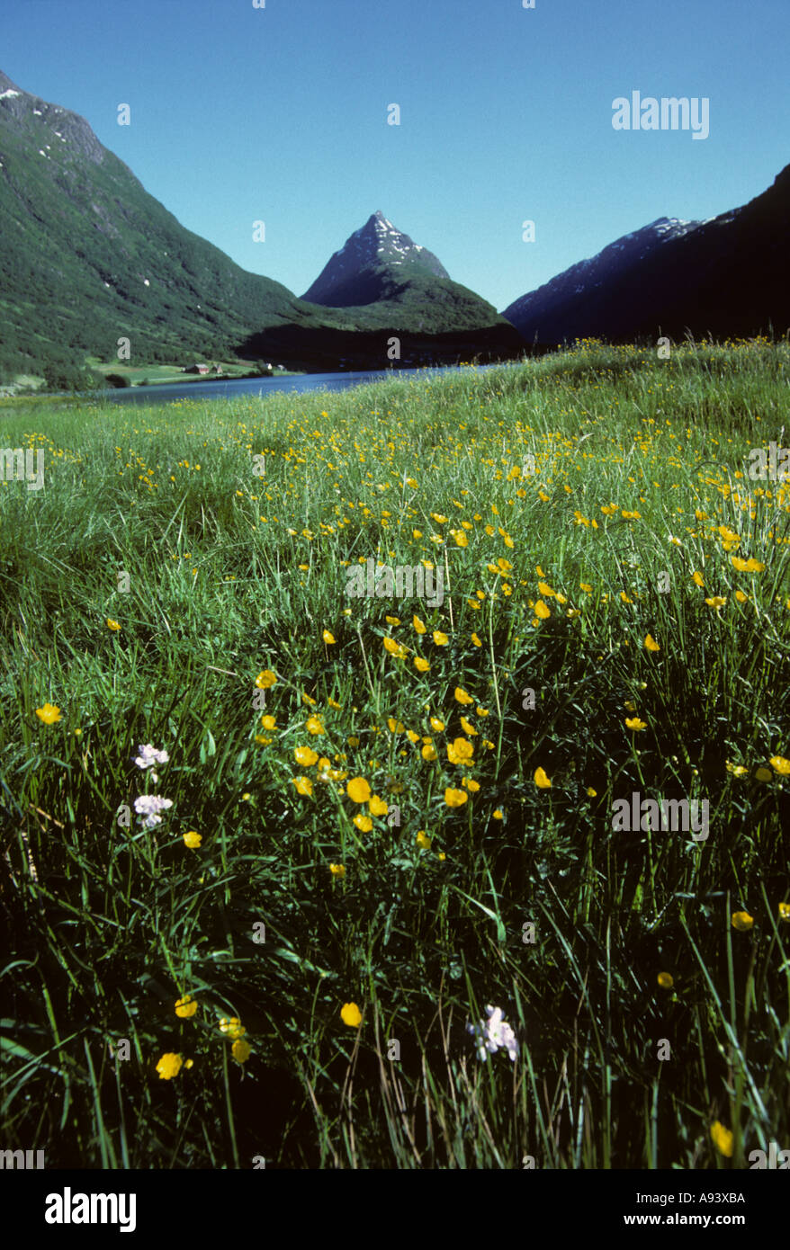 Ovredalen hi-res stock photography and images - Alamy