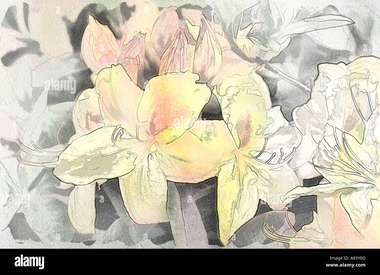 Flower Display Artwork Stock Photo - Alamy