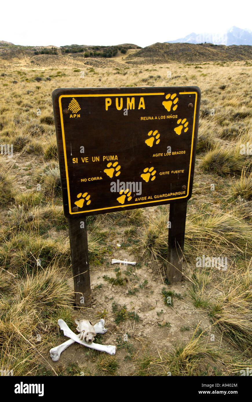 Puma Warning Sign, Perito Moreno National Park, Southern Andean ...