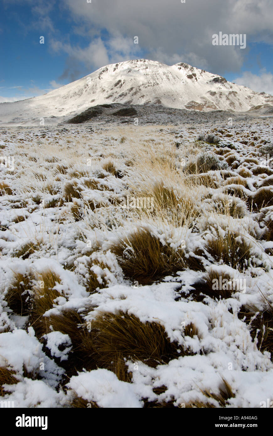 Snow-covered Steppe and Cerro Leon (1434m), Perito Moreno National Park ...