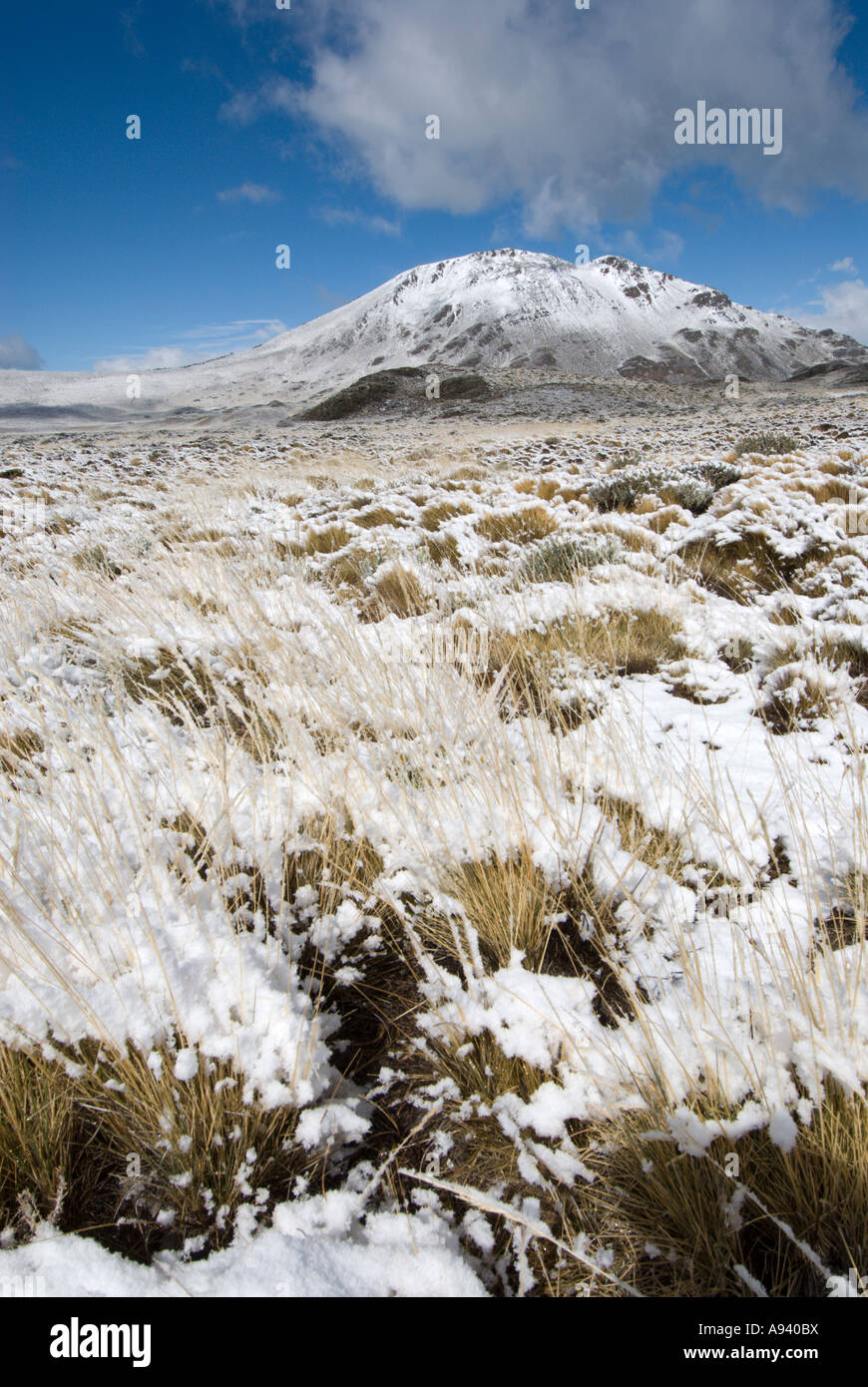 Snow-covered Steppe and Cerro Leon (1434m), Perito Moreno National Park ...