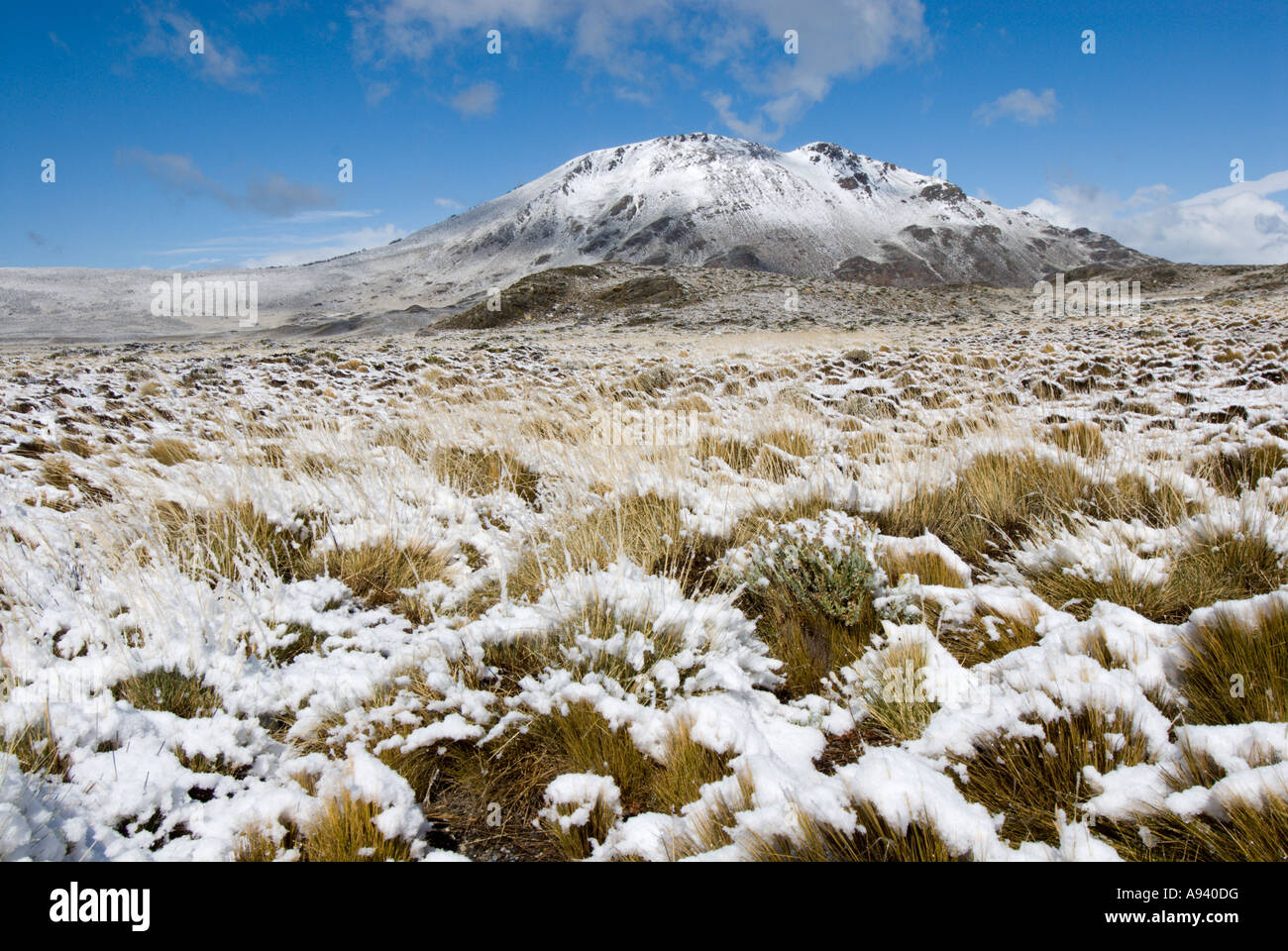 Snow-covered Steppe and Cerro Leon (1434m), Perito Moreno National Park ...