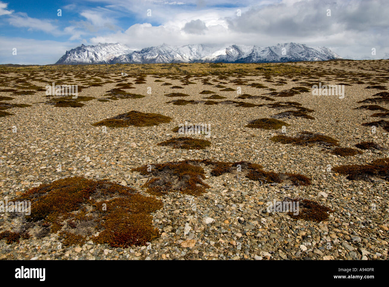 Natural Highway near Rio Lacteo, Perito Moreno National Park, Southern ...