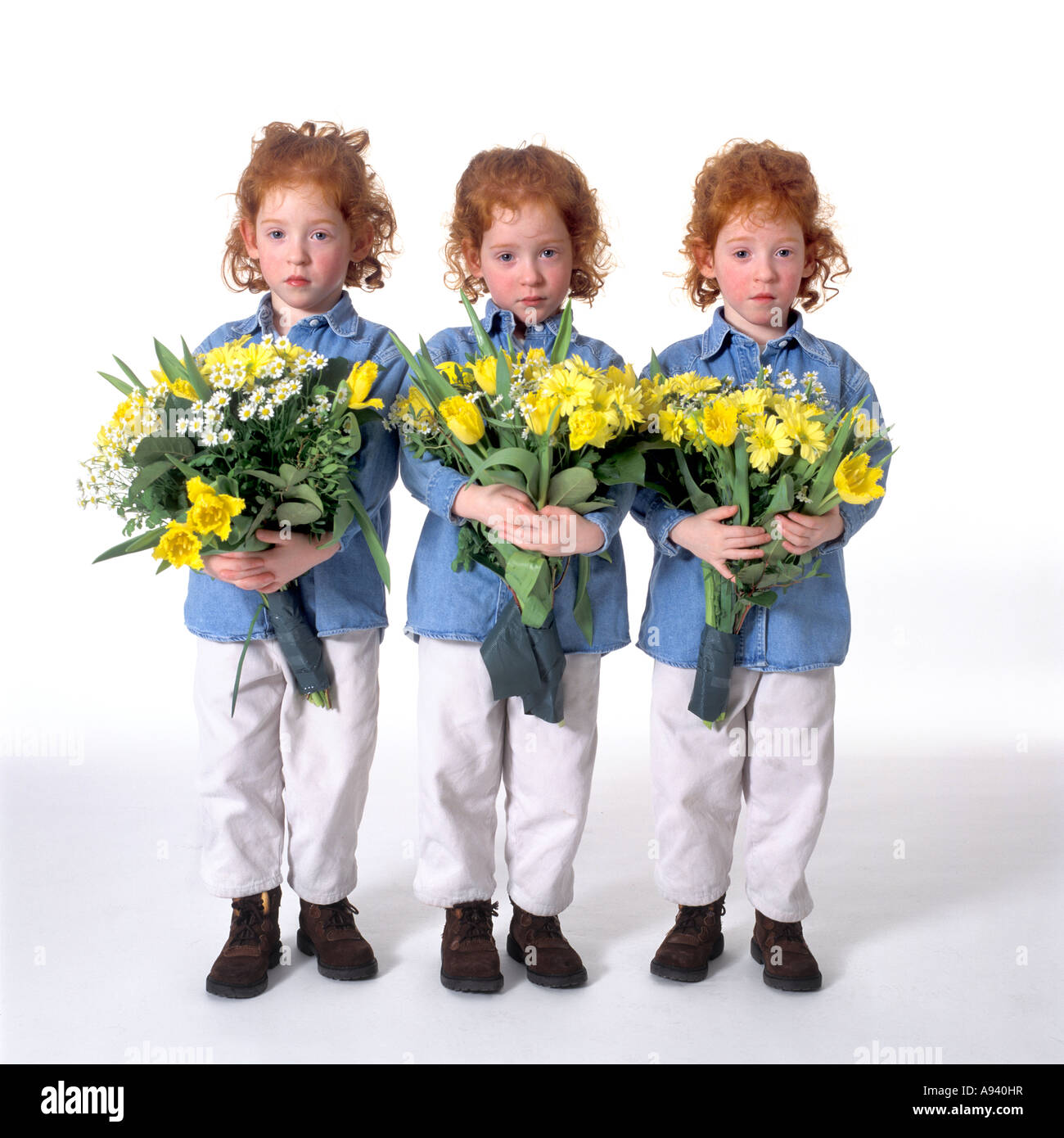 Triplet Flowers High Resolution Stock Photography and Images - Alamy