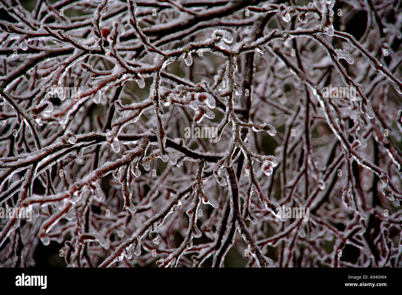 Freezing rain hi-res stock photography and images - Alamy