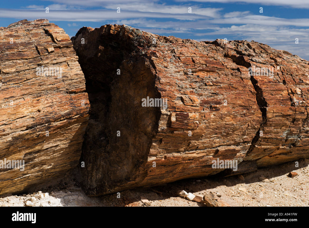 Petrified Forest, Monumento Nacional Bosques Petrificados, Patagonia ...